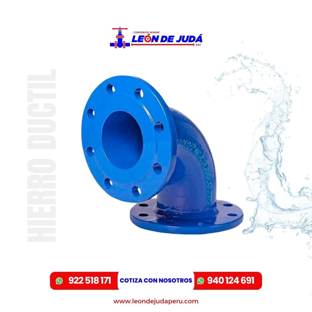 Codo 90° Bridado – León de Judá